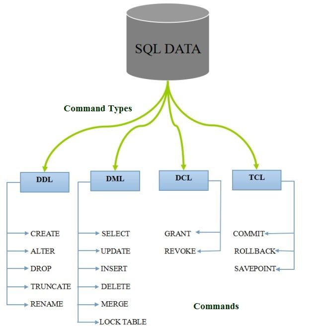 Explain And Learn About SQL For Beginner s MechoMotive